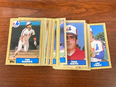 1987 MONTREAL EXPOS TOPPS TEAM SET (29 CARDS) TIM RAINES / ANDRE DAWSON ...
