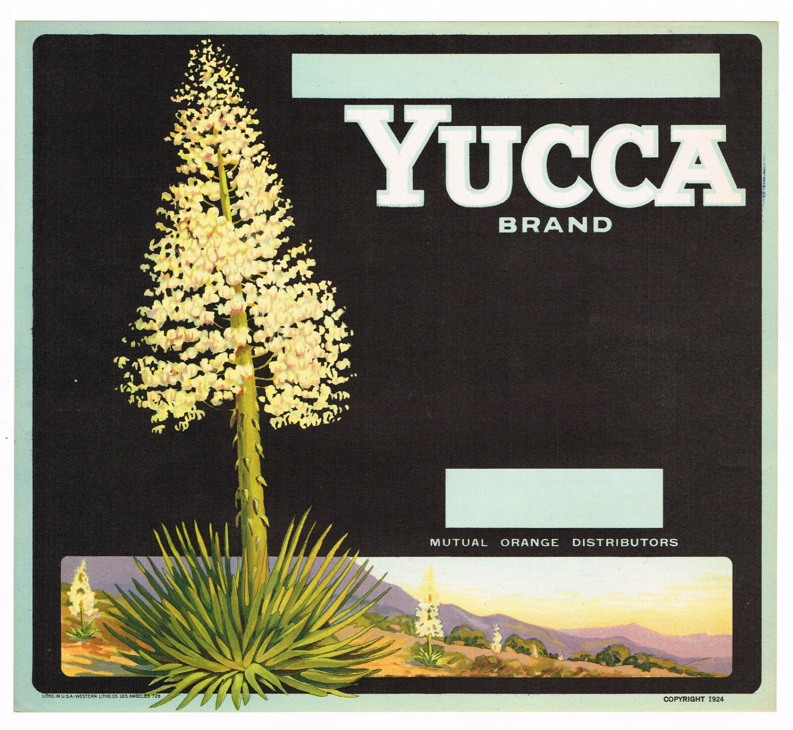 GENUINE VINTAGE YUCCA ORANGE CRATE LABEL ORANGE COUNTY PALM SPRINGS ...
