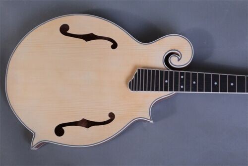 DIY-MAKE YOUR OWN KENTUCKY STYLE F HOLE 8 STRING CARVED TOP ACOUSTIC ...