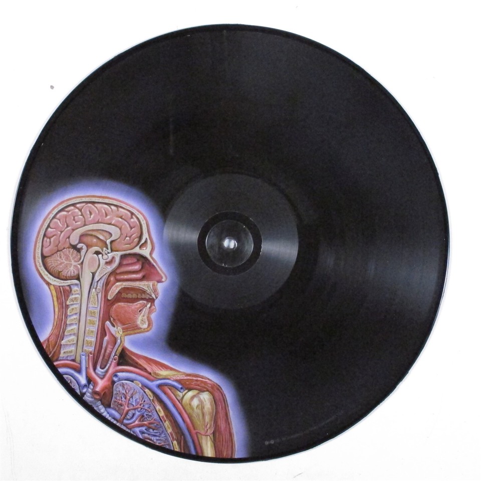 TOOL Lateralus VOLCANO 2XLP VG+/VG++ 180g audiophile pcture disc ...