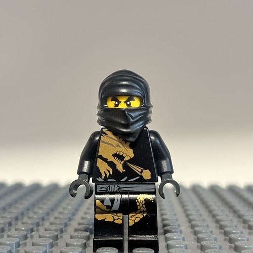 Lego Cole DX Minifigure Ninjago The Golden Weapons 2520 2170 2509 ...