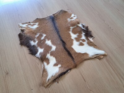 Genuine Goat Skin, Mottled Leather, Spotted Pelt, Goat Hide, 1.4 x 1.9 ...