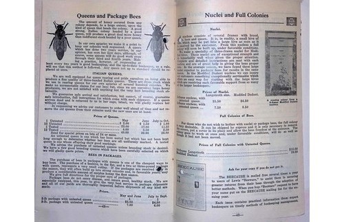 Dadant Bee Supplies Catalog 1924 Hamilton IL Apiary Equipment & Honey ...