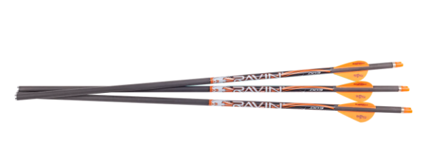 Ravin R10 Crossbow Package Black Ravin R180 Soft Case 3 Lighted Bolts ...