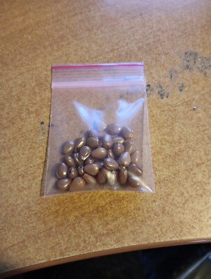 BAG WITH GLASS BEADS FOR SCRAPBOOKING/JOURNALS NEW (B203) | eBay