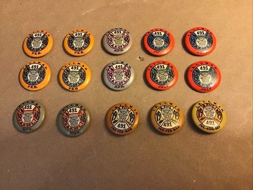 Lot of Fifteen I.B.T.C.W. & H. Teamsters Union Local 491 PinBack Dues ...