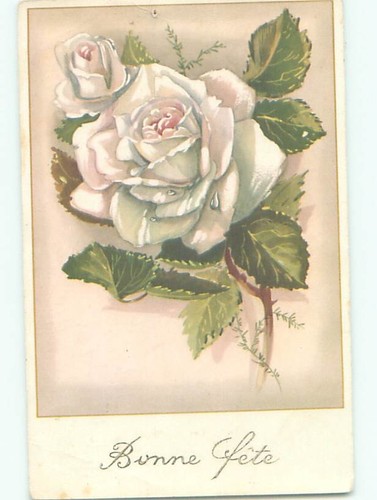 Very Old Foreign Postcard BEAUTIFUL FLOWERS SCENE : make an offer ...