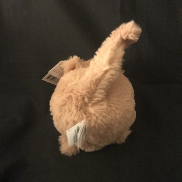 Jellycat Ginger Kitten Caboodle Plush Cat Kitty Lovey Stuffed Toy for ...