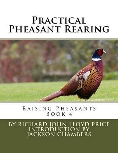 Practical Pheasant Rearing : Raising Pheasants Book 4 by Richard John ...