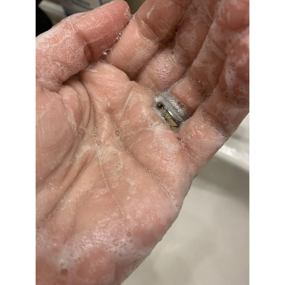 Dove Go Fresh Body Wash, Cucumber & Green Tea Scent, 12 oz Bottle | eBay