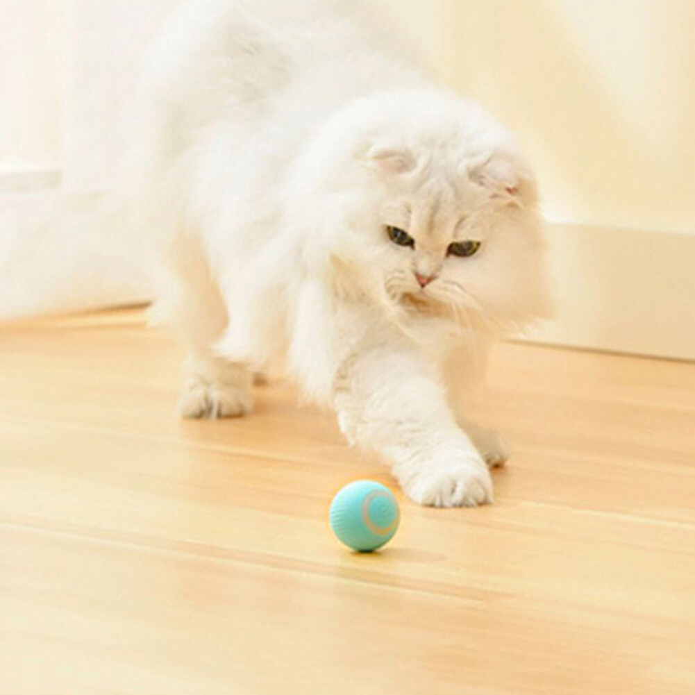Gravity Smart Cat Ball Toys Catnip Sounding Interactive Rolling ...