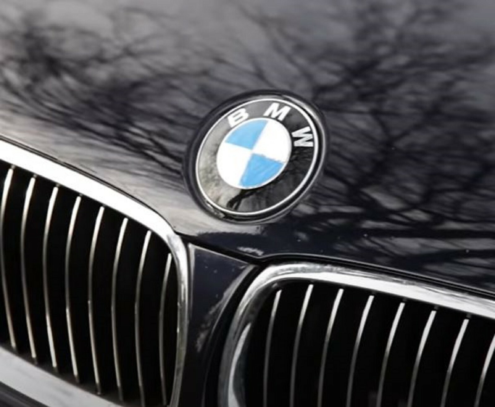 Bmw Emblem Motorhaube