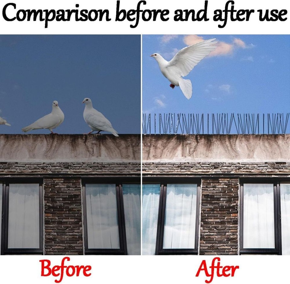 10M&5M Pigeon Bird Spikes Metal Wall Fence Deterrent Anti Perch Control ...