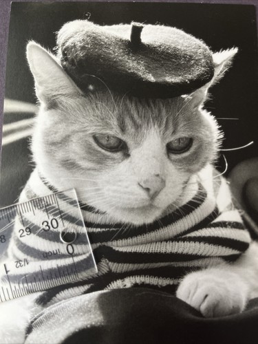 FRENCH CAT Paris Style WEARING BERET Striped Sweater B&W Photo ART ...