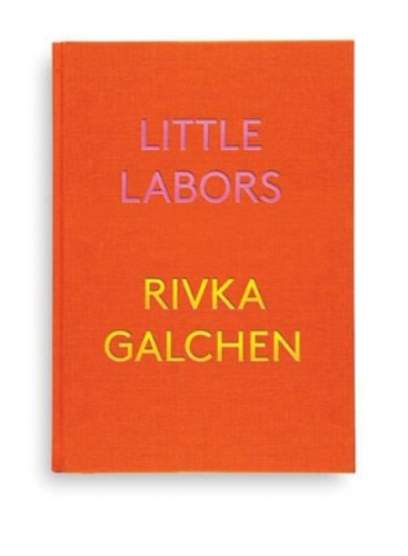 Rivka Galchen Little Labors (Relié) 9780811225588 | eBay