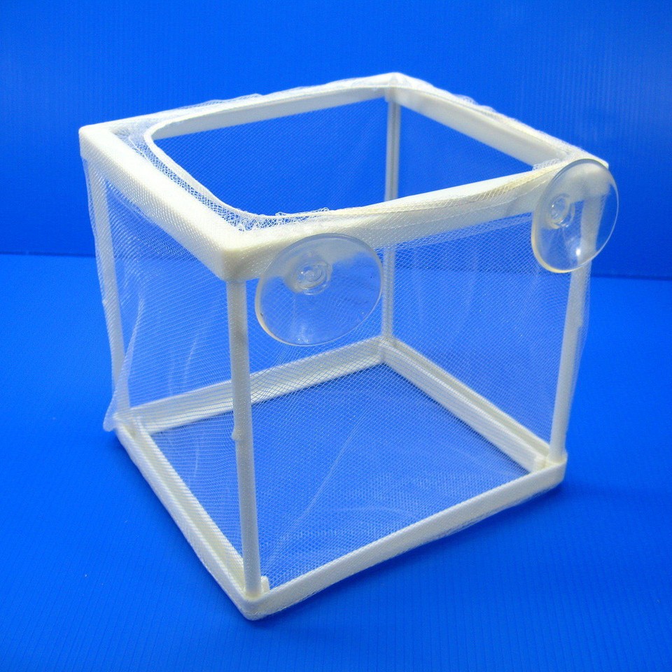 AQUARIUM TANK FISH BREEDER SEPARATION NET TANK BABY FRY NEWBORN ...