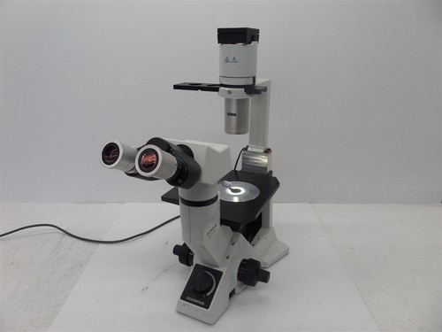 Olympus CKX41 Inverted Phase Contrast Microscope | eBay