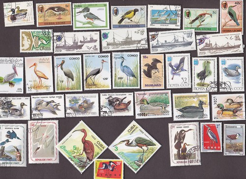50 All Different WATER BIRDS on Stamps | eBay