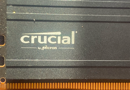 crucial 16 gig DDR 5 1.1V ram stick | eBay
