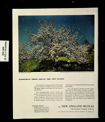 1951 New England Mutual Life Insurance Company Boston Vintage Print Ad ...