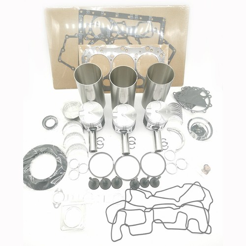 N843 N843L Overhaul Rebuild Kit fits Shibaura Engine D33 DX31 | eBay