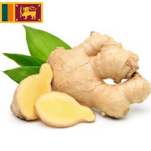 Organic Whole Ginger Pieces Ginger Roots Ceylon Spices Sri Lanka - 100g ...