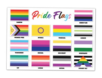 A4 Sticker Sheet Sexual Identity Vinyl Stickers - Flags Pride LGBTQ Gay ...