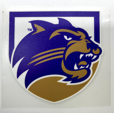 Catamount Logo College Sports Logos على X: "Also Another Name For