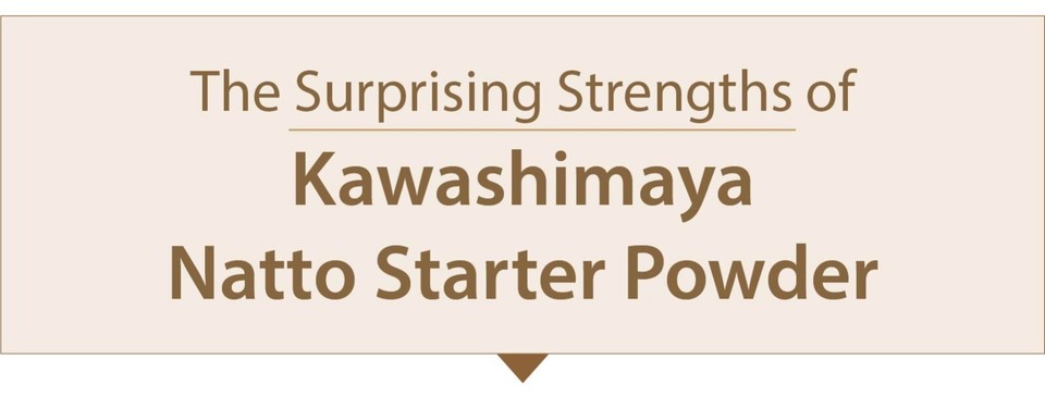 Kawashimaya Natto Starter Spores Powder 3g 100% Organic Soybean Extract ...