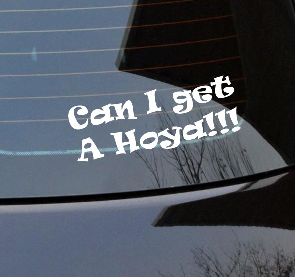 Can i get a hoya vinyl cut Car Sticker for windows doors Australian ...