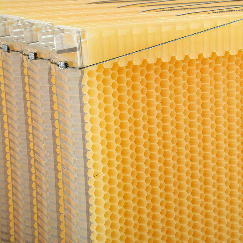7 x Auto Shed Bee Frames Plastic Beehive Frames Beekeeping Frame ...