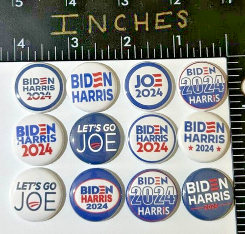 2024 Biden Joe Harris President Campaign Pin Lot 12 Pins One Inch ...