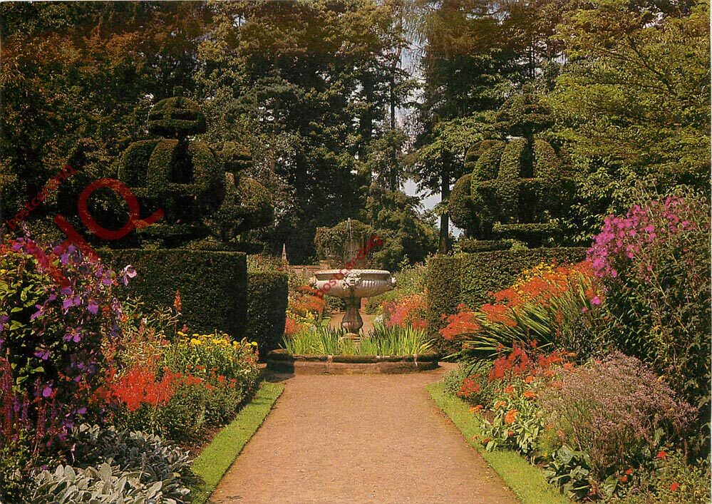 Picture Postcard~ Handcross, Nymans Garden, the Summer Border | eBay UK