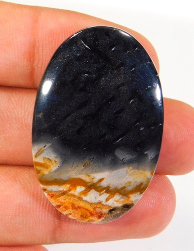 63.CT Rare Naturel Pétrifié Plam Racine Agate Ovale Cabochon Desseré ...