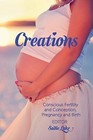 Creations: Conscious Fertility and Conception, Pregnancy and Birt by Lake, Sadie | eBay