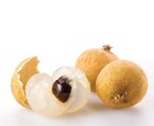Longan Plant | eBay
