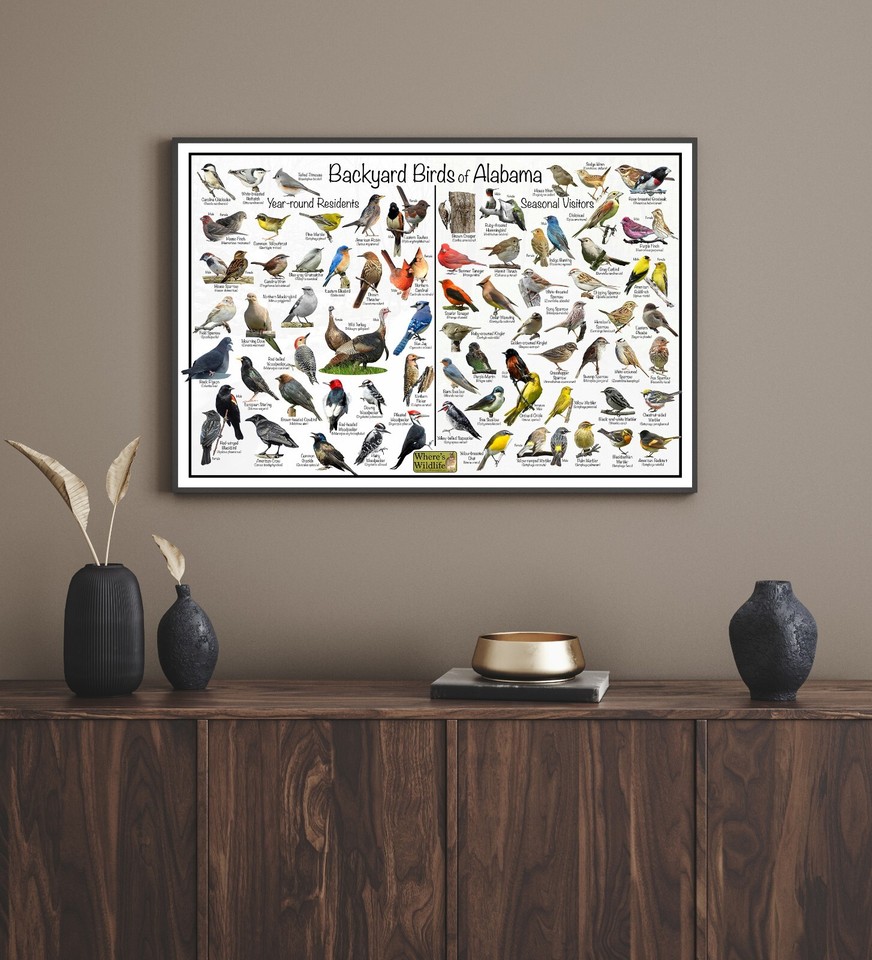 Backyard Birds of Alabama Bird Identification Nature Poster / Quick ...