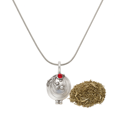 Vampire Diaries Elena Vervain Necklace – Locket Pendant Prop w/ Real ...