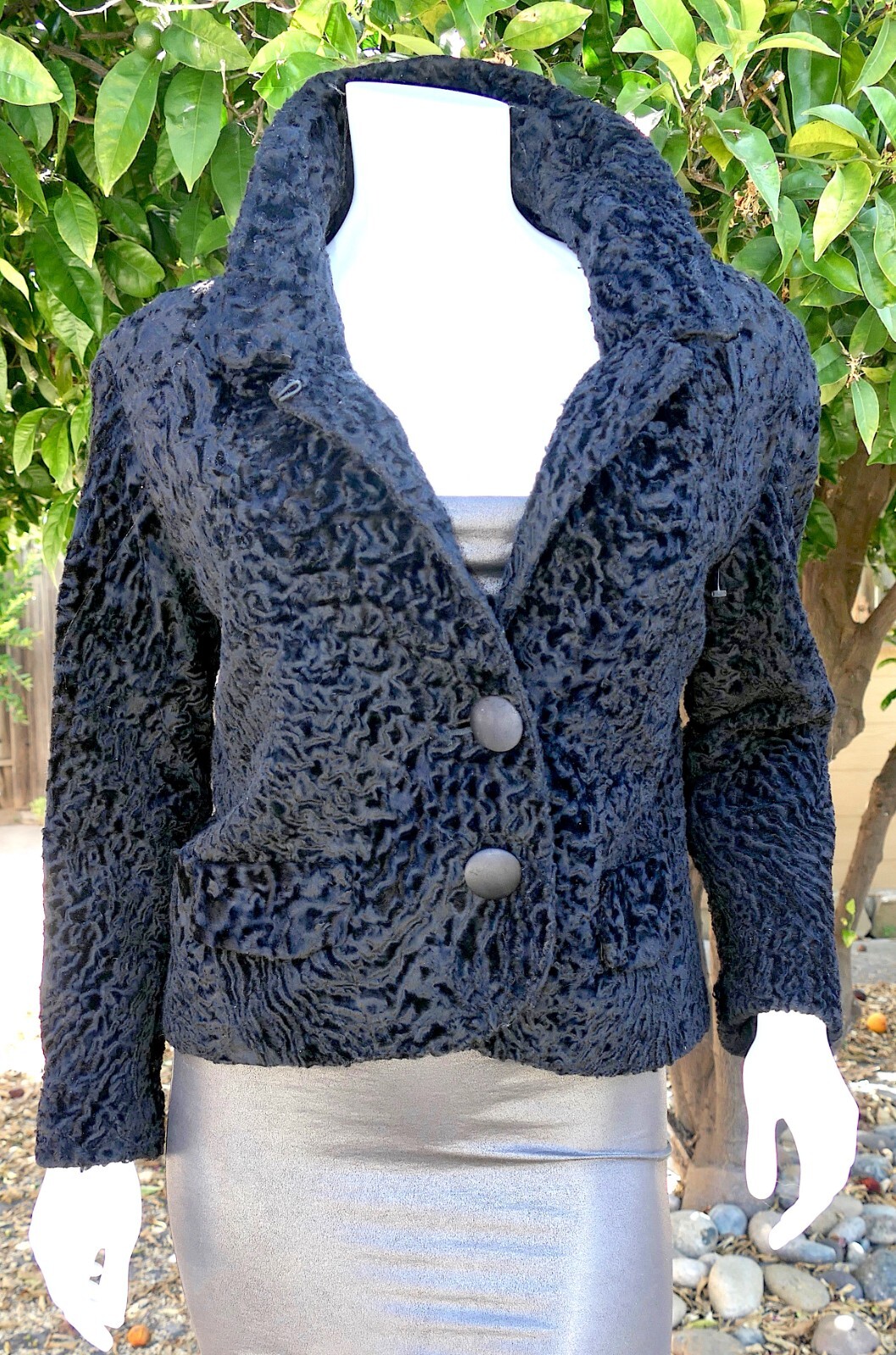 Real Black Swakara Broadtail Persian Lamb Karakulcha … - Gem