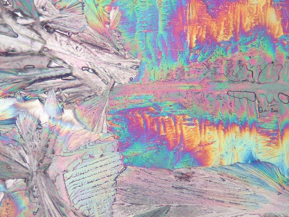 Olympus Microscope BX51 Pol Polarizing with Prior ProScan III Motorized ...