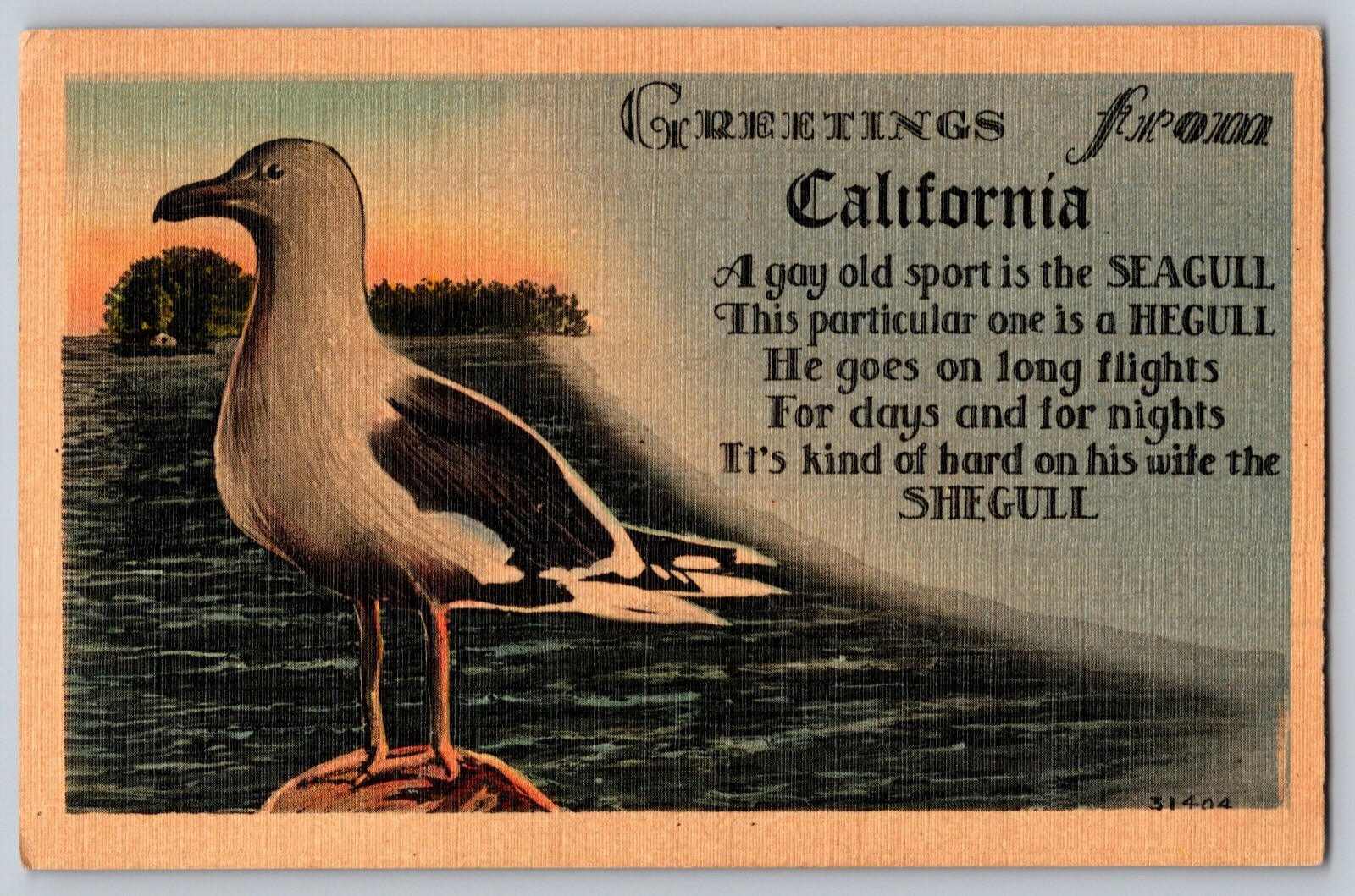 Greetings From California CA Seagull Comic Verse Poem Vintage Linen ...