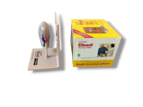 Vintage Kidney Medical Display Clinoril With Original Box | eBay