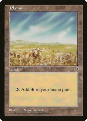 Plains (B) Mirage NM Basic Land MAGIC THE GATHERING MTG CARD ABUGames ...