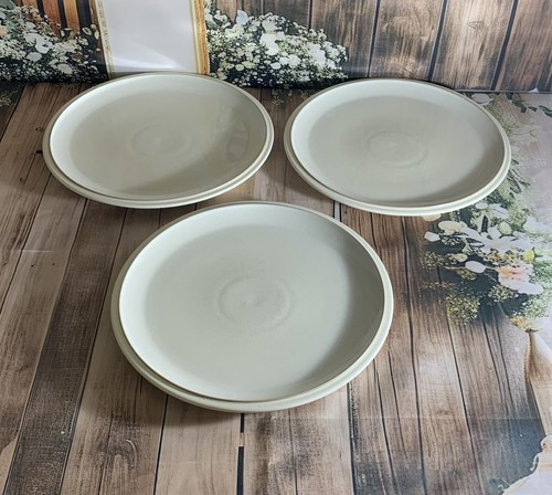 set of 3 Denby 27cm Dinner Plates | eBay UK