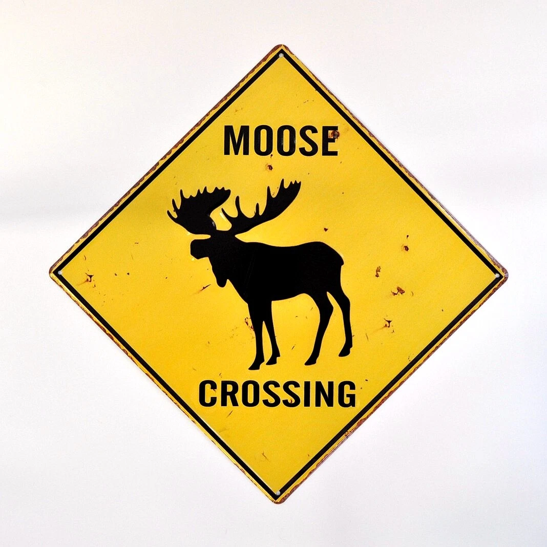 Moose Crossing Sign