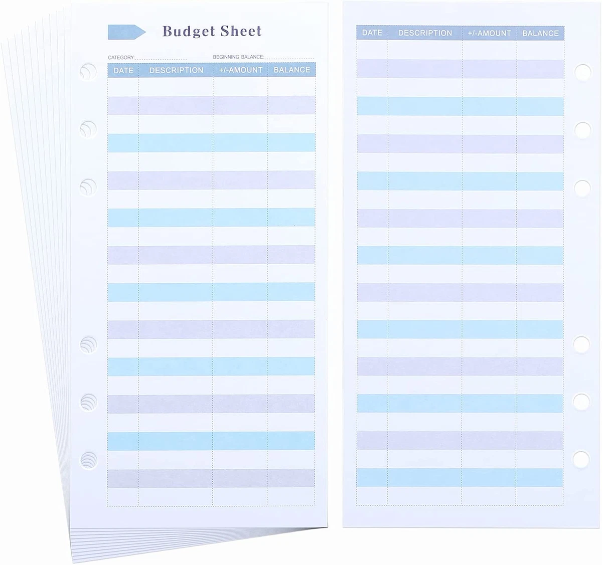 Ledger Cash Envelope System