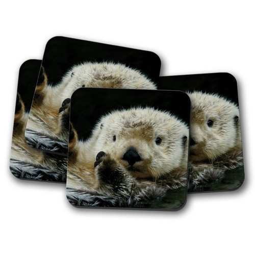 4 Set - Adorable Cute Sea Otter Coaster - Floating Fluffy Animals Gift ...