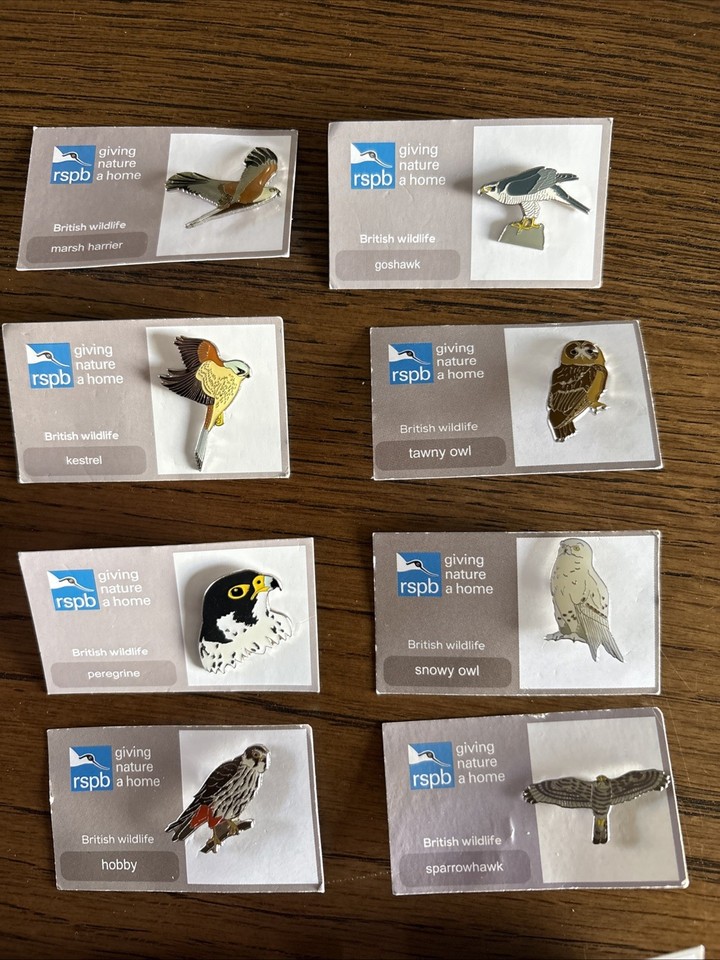 10x RSPB GREY CARD BIRD OF PREY PIN BADGES | eBay UK