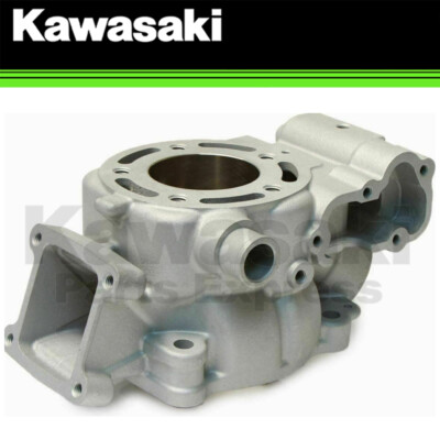 NEW 2006 - 2013 GENUINE KAWASAKI OEM KX100 ENGINE CYCLINDER KX100D ...