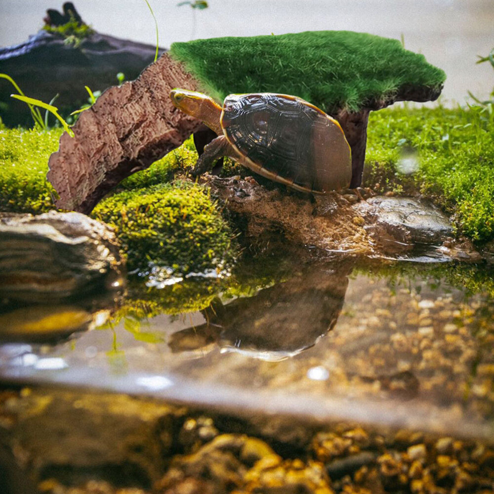 Fish Tank Terrace Landscaping Resin Turtle Ramp Platform Accessory | eBay